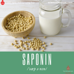 Saponin: khái niệm, lợi ích của Saponin là gì? - Science Vietnam